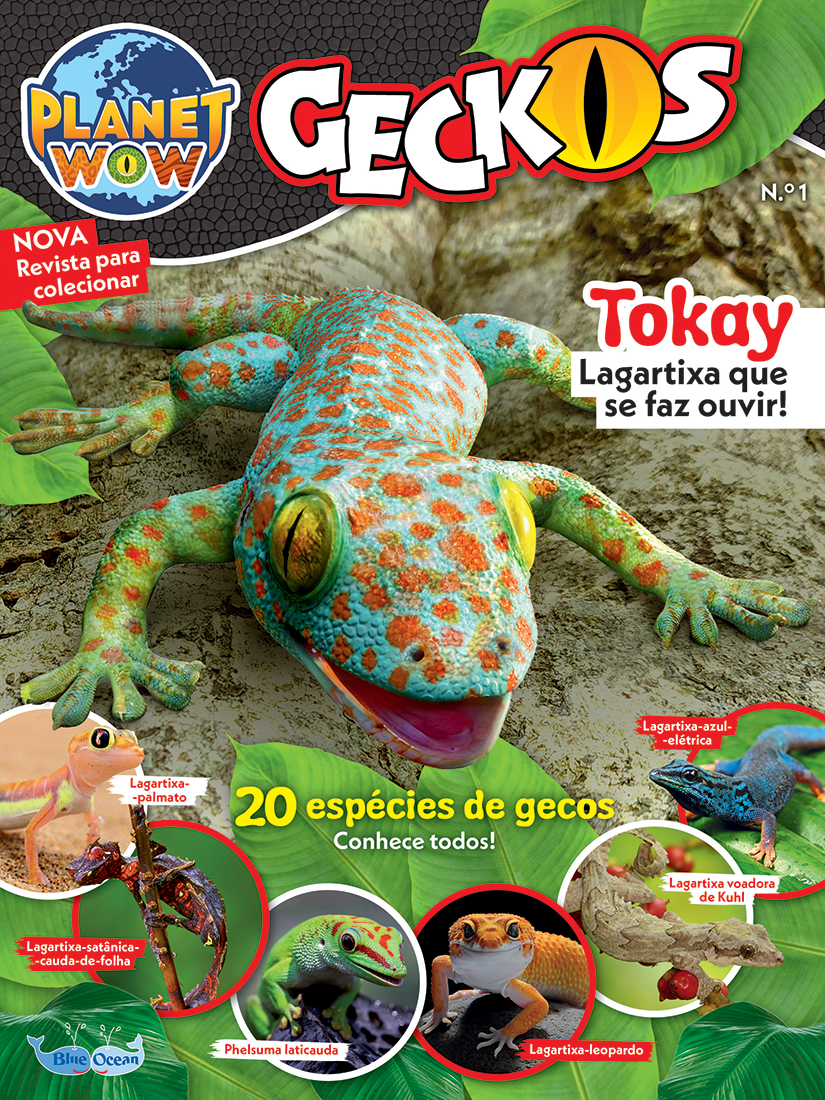 Planet WOW - Blue Ocean Entertaiment Portugal